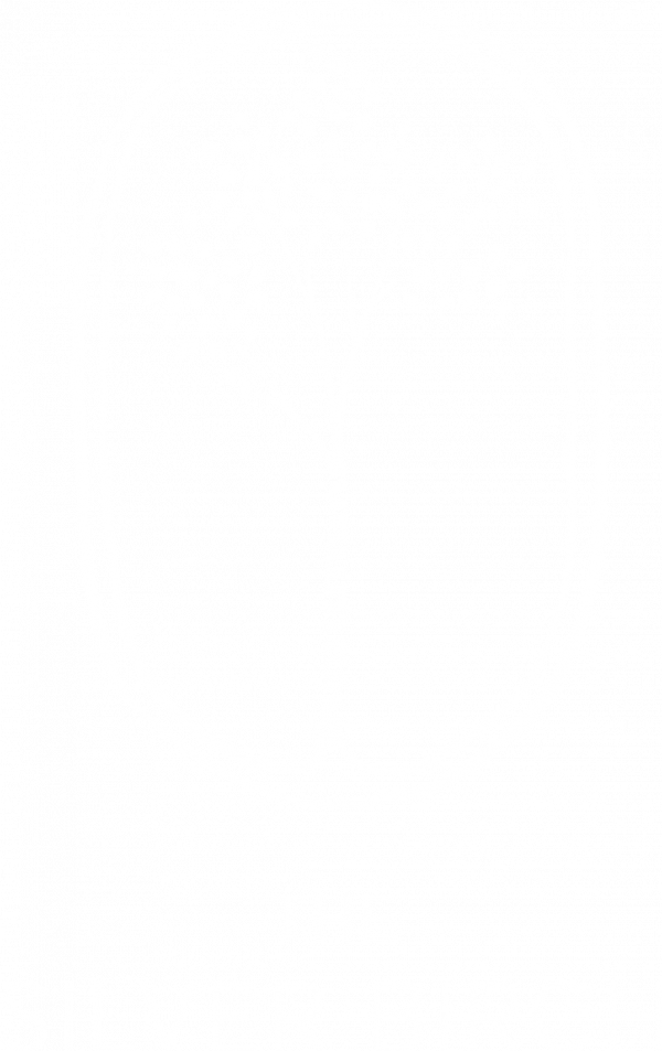 Home - The Silver Birch